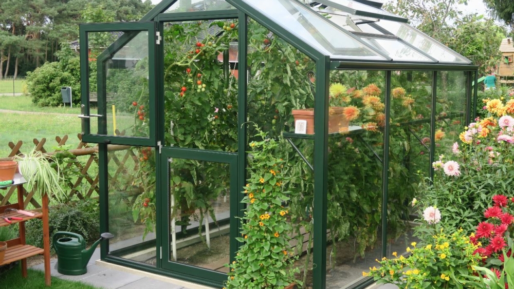 Unterschied zwischen Gewächshaus und Treibaus | TOLL! Belgium